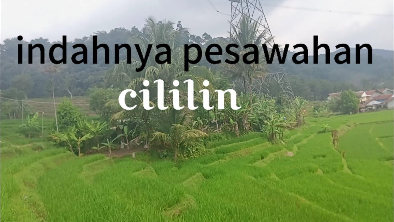 KEINDAHAN ALAM PESAWAHAN CILILIN - YouTube