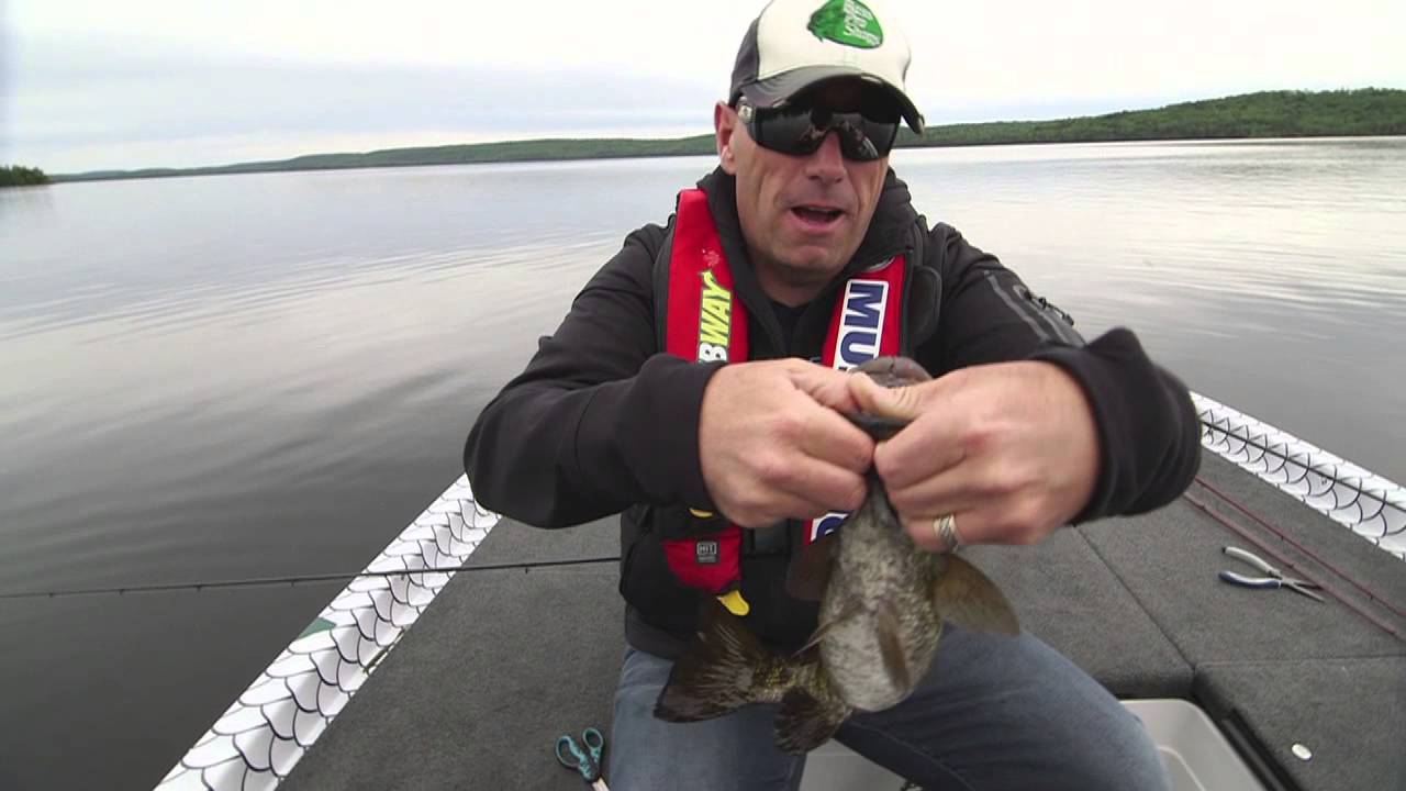 Targeting Surfacing Smallmouth with a Livetarget Popper Frog - Facts of ...