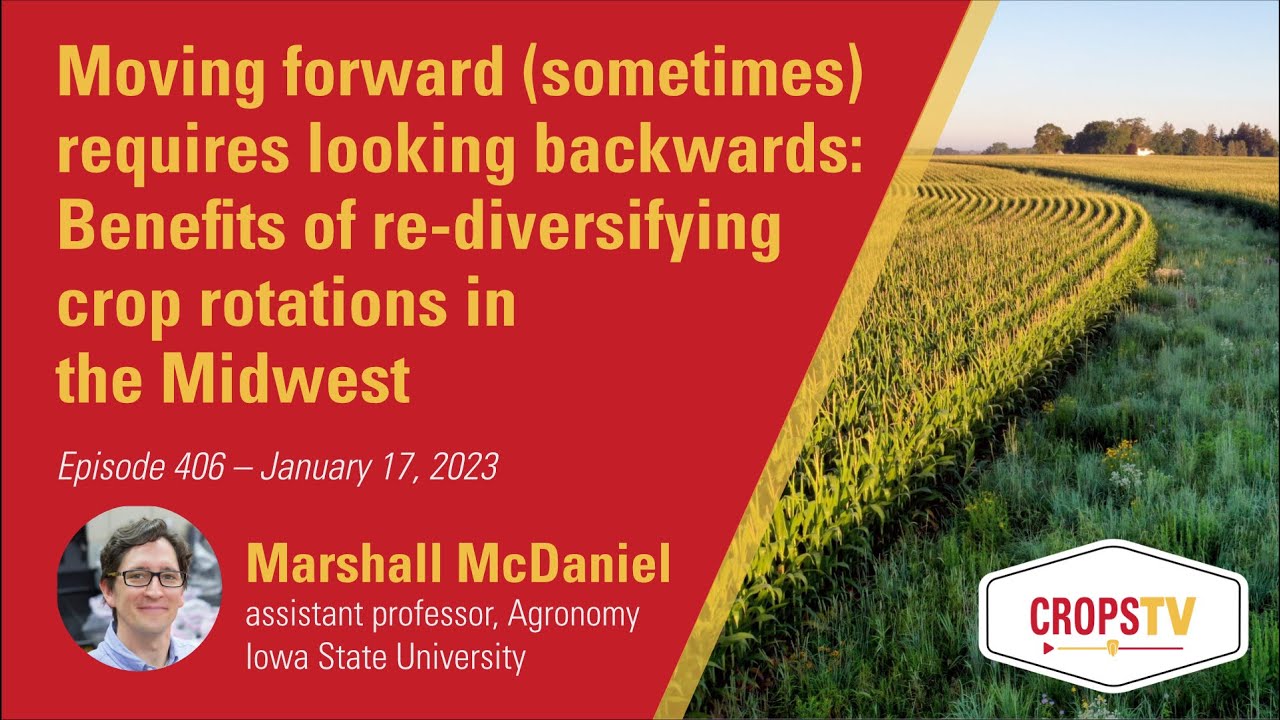Moving forward requires looking backwards: Benefits of re-diversifying ...