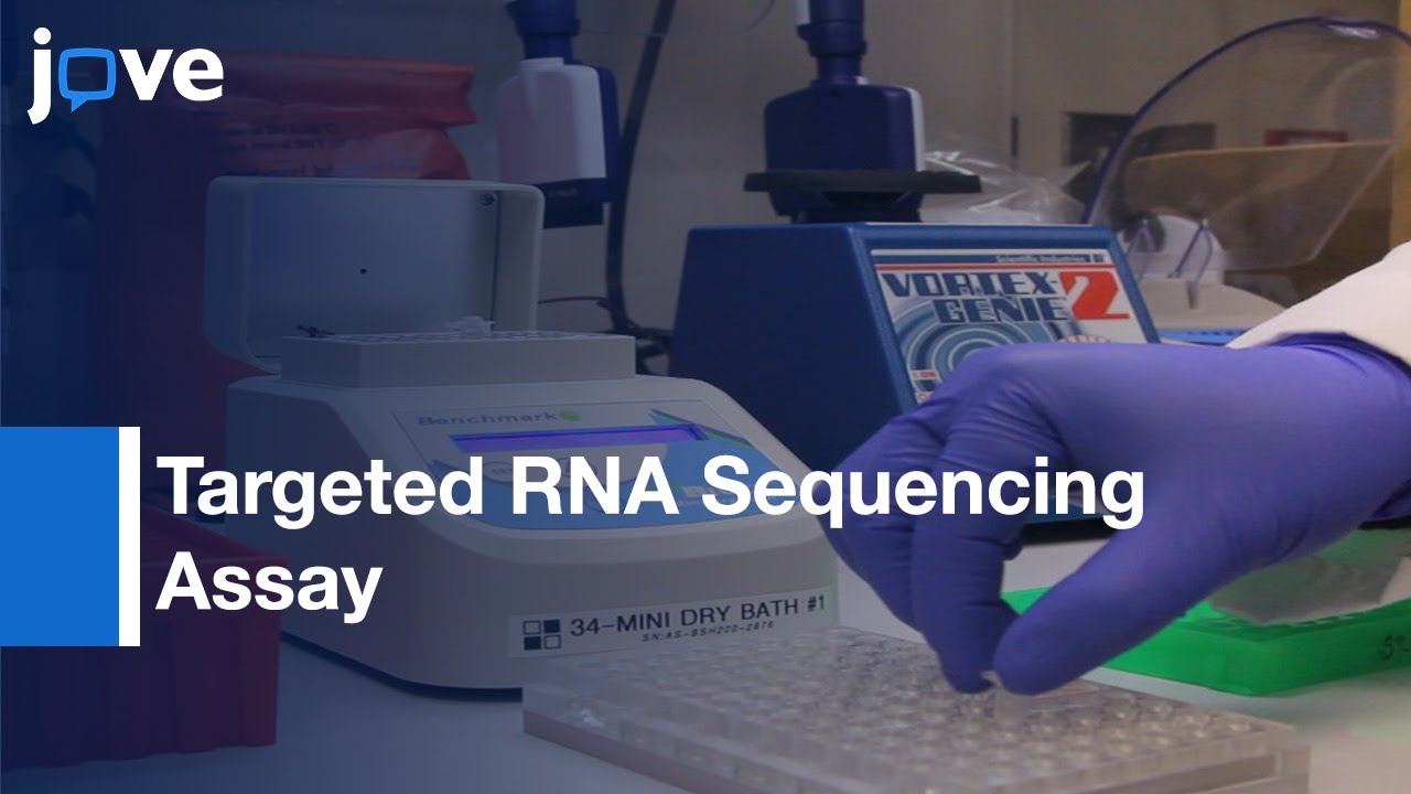 Targeted RNA Sequencing Assay: Characterize Gene Expression & Genomic ...
