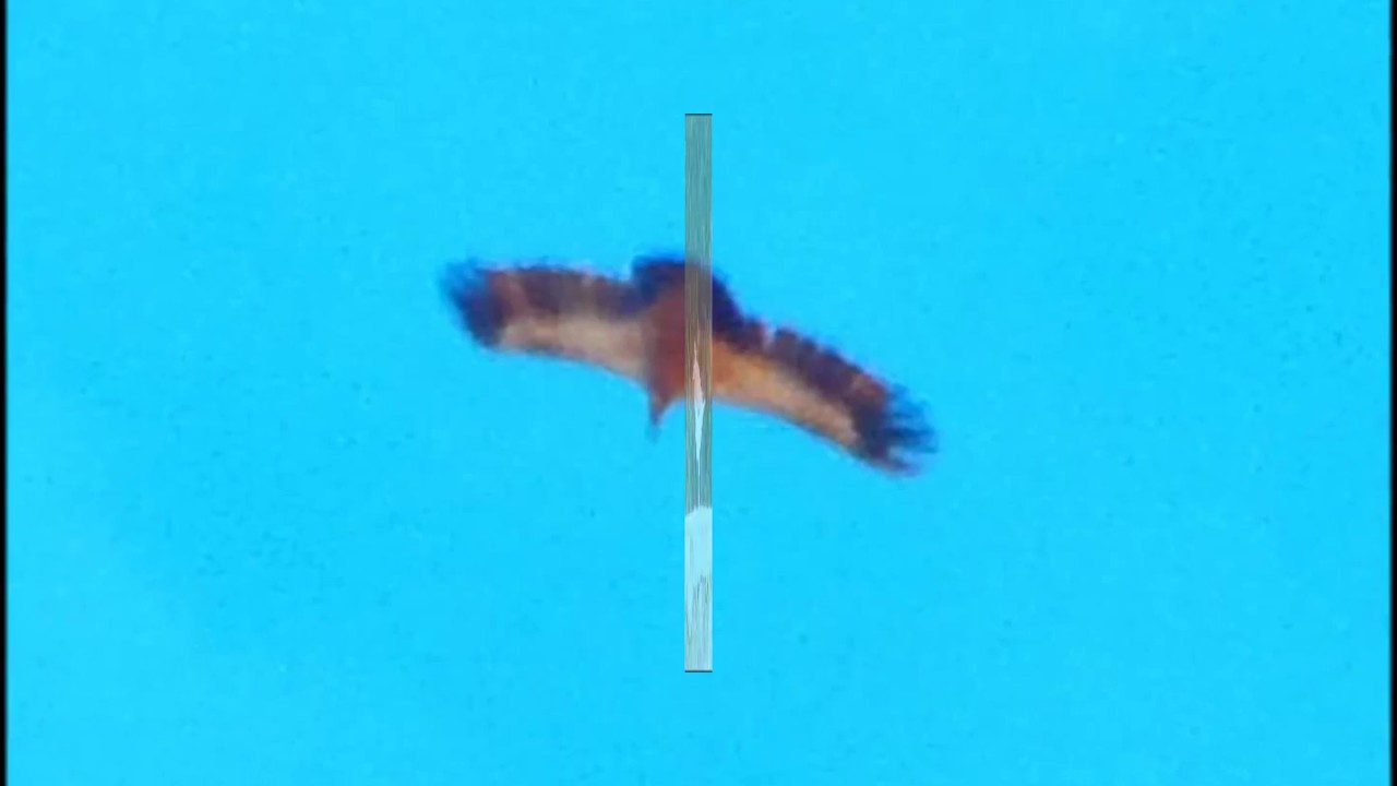 Bird watching in Crete Greece - YouTube