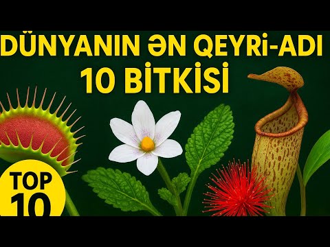 İlk Dəfə Görəcəyin 10 Möhtəşəm və Qeyri-Adi Bitki | Təbiətin Sirləri 