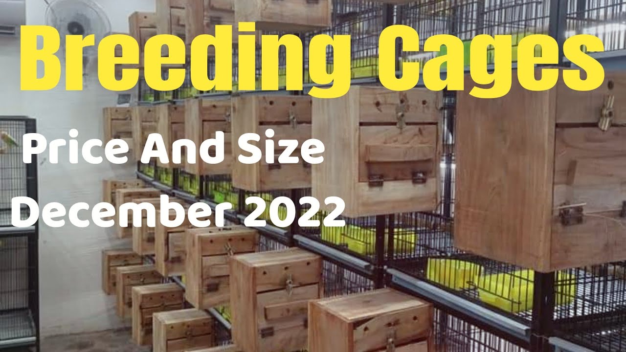 Cages Prices December 2022 //MM CAGE MAKER MIANWALI - YouTube