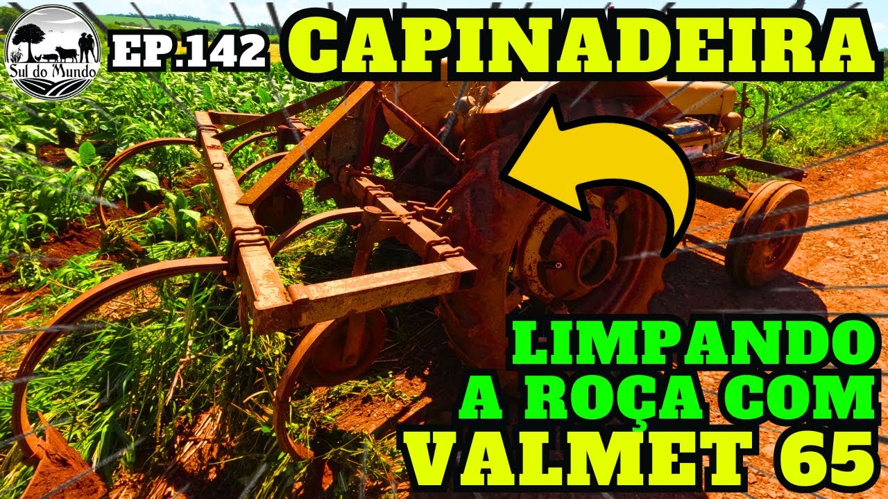 PASSANDO CAPINADEIRA e CULTIVANDO ROÇA com o TRATOR VALMET 65 - YouTube