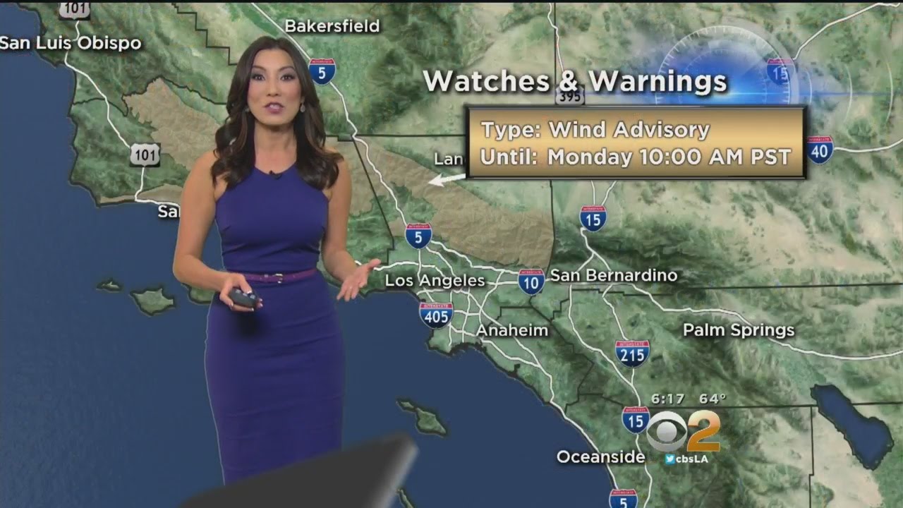 Amber Lee's Weather Forecast (Feb. 21) - YouTube