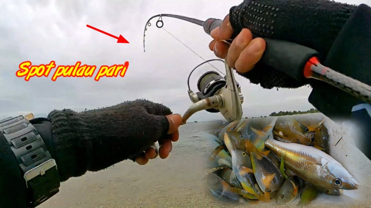 SPOT MANCING -SPOT CASTING PULAU PARI || Anti boncos - YouTube