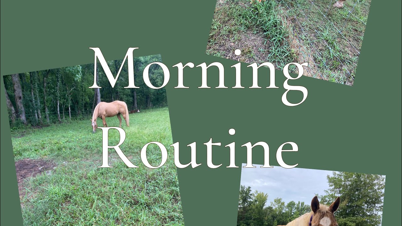 Morning routine with Dakota - YouTube