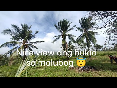 Bukid sa Sindangan, Nice ang view. 👋👋🙏😇🏠 - YouTube