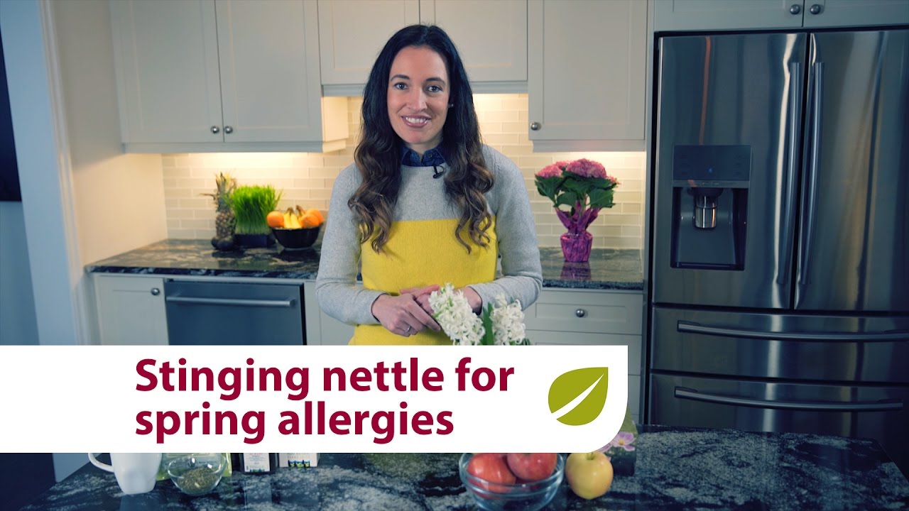 Stinging Nettle | Natural Relief for Spring Seasonal Allergies - YouTube