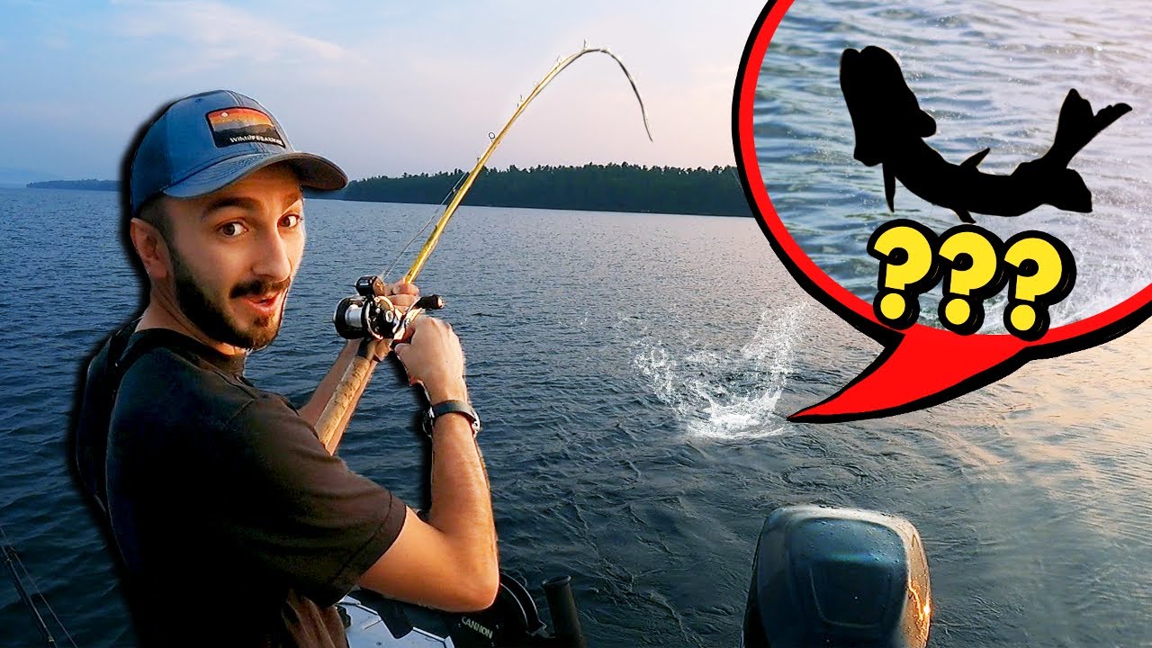 Unexpected GIANT FISH 60 Feet DEEP! (Lake Winnipesaukee) - YouTube