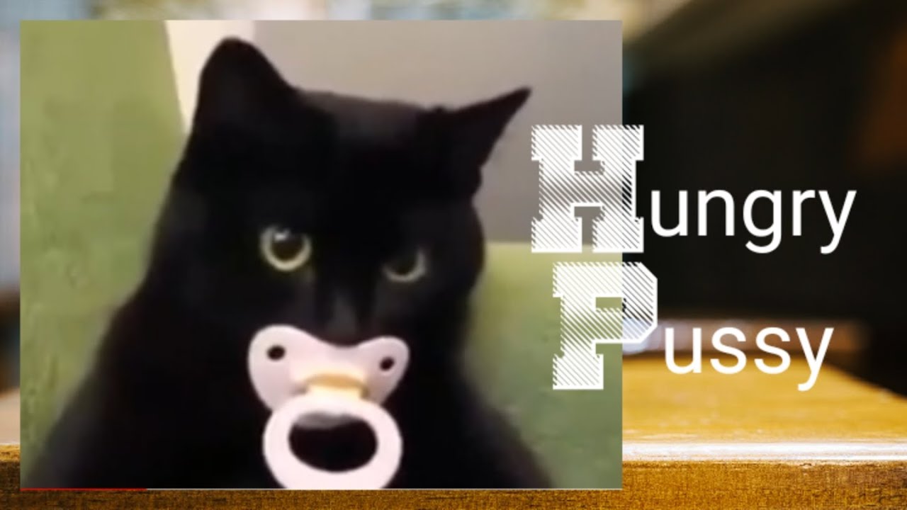 PAANO MAGUTOM ANG MGA PUSA / funny vino - YouTube