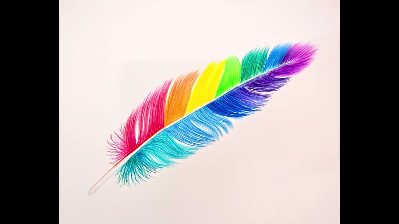 Colorful Feather Drawing