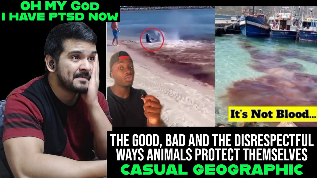 The Good, Bad and the Disrespectful Ways Animals Protect Themselves by ...