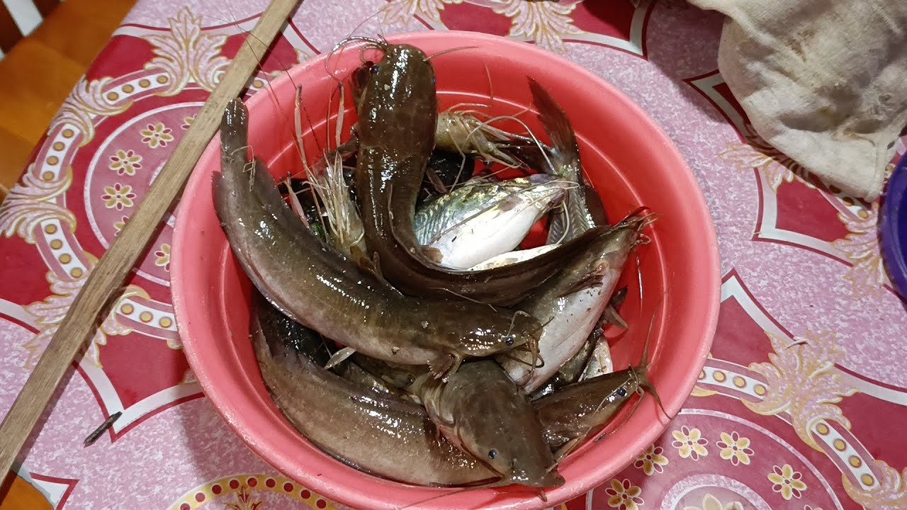 Memancing Di Sawit || Simunjan || Batu Kudik - YouTube