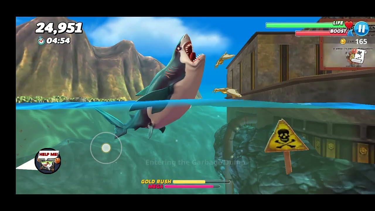 sharks 👀🤫💗 - YouTube