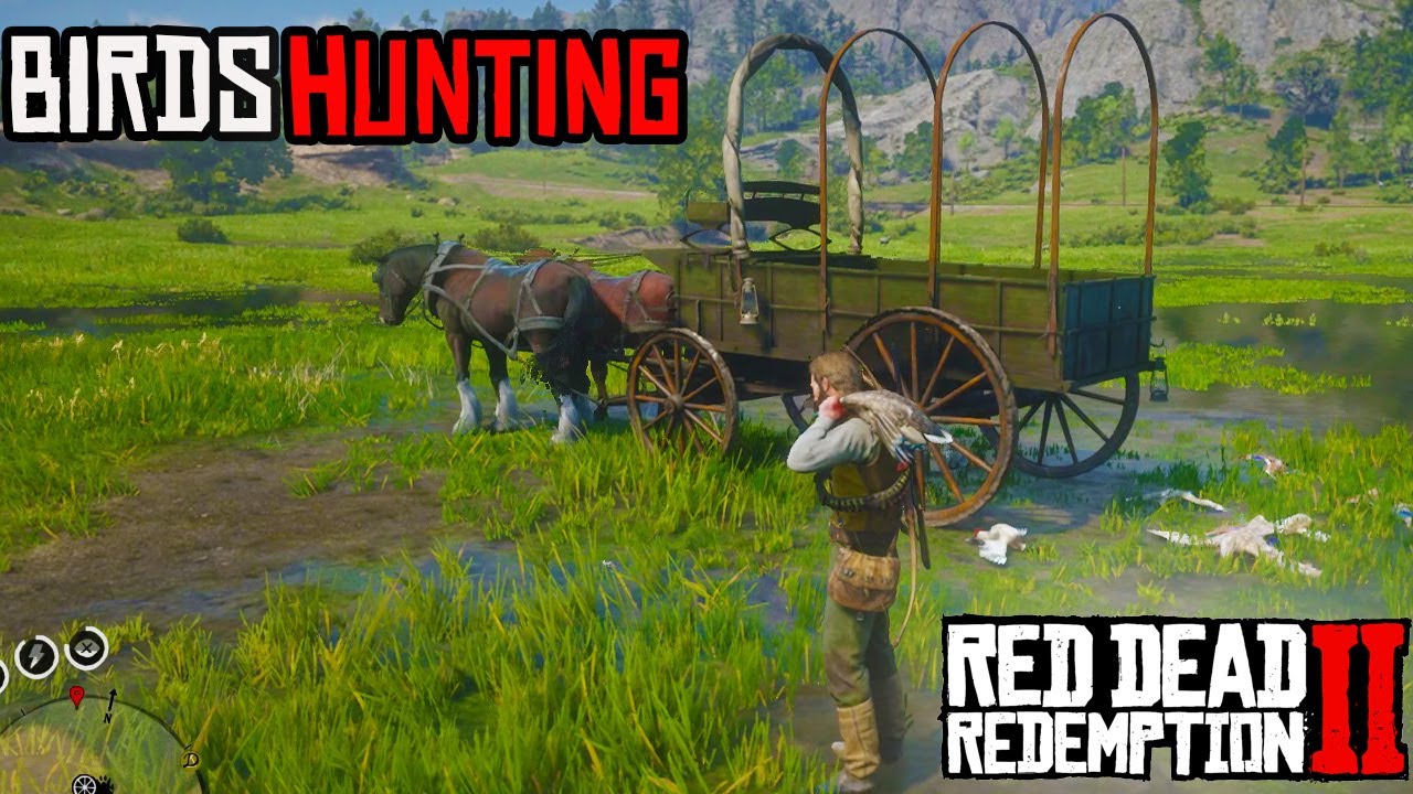 Birds Hunting in Red Dead Redemption 2 - YouTube