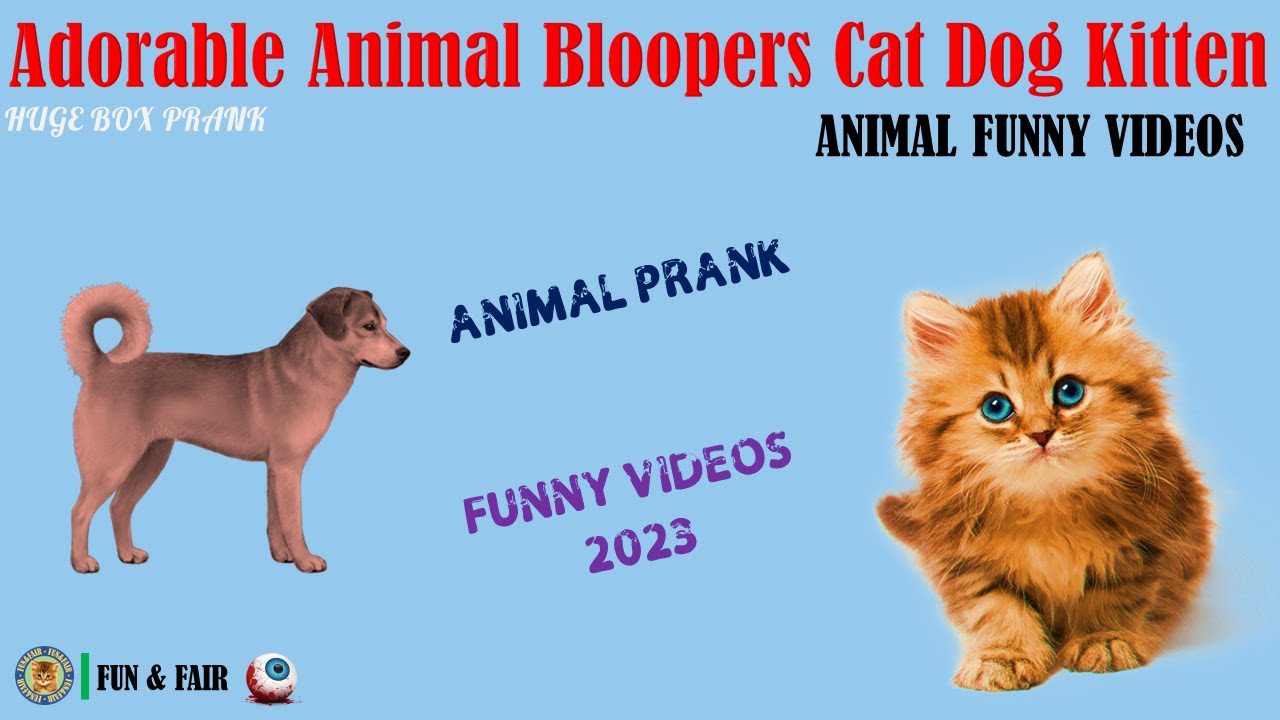 Fun with fake Lion and fake Tiger prank to Dog | Funny Animal | Funny ...