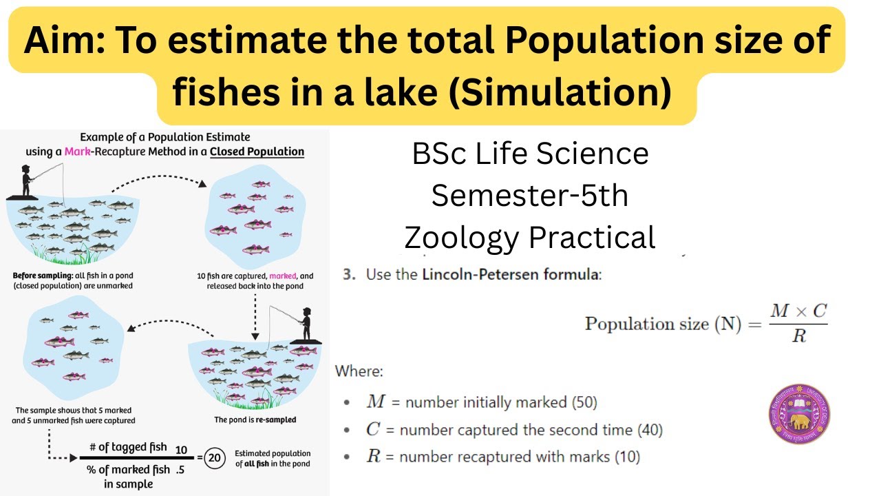 Fish Population Estimation in a Lake | Mark-Recapture Method Simulation ...