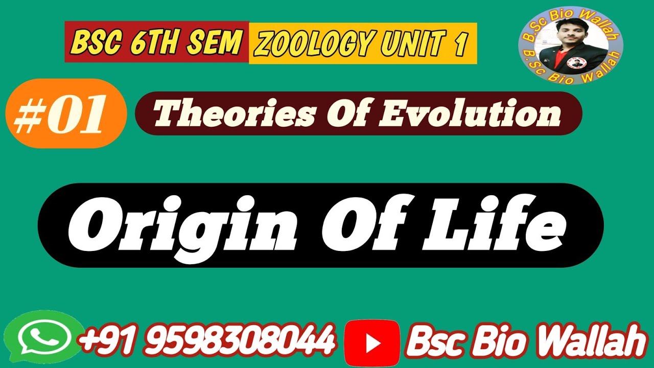 Origin of Life | Theories Of Evolution | Bsc 6th Sem Zoology #evolution ...