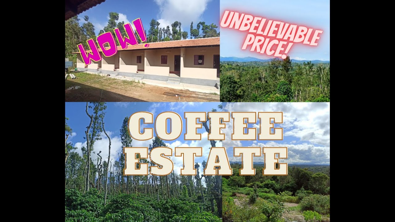 #195 #acres well maintained #Coffee and #Pepper #Estate for #sale in # ...