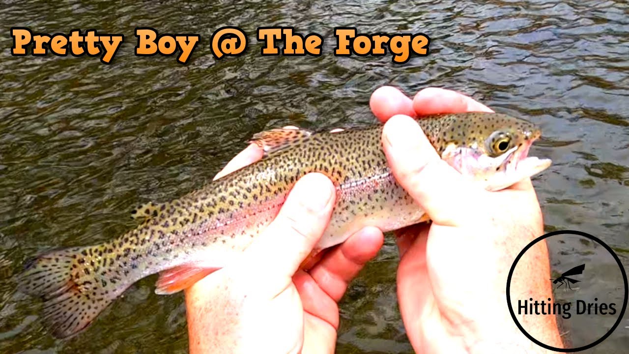 Pigeon Forge Fishing - YouTube