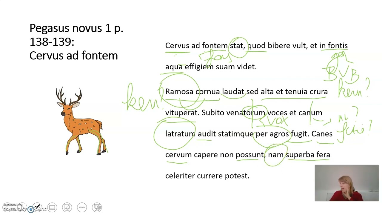Cervus Ad Fontem Youtube
