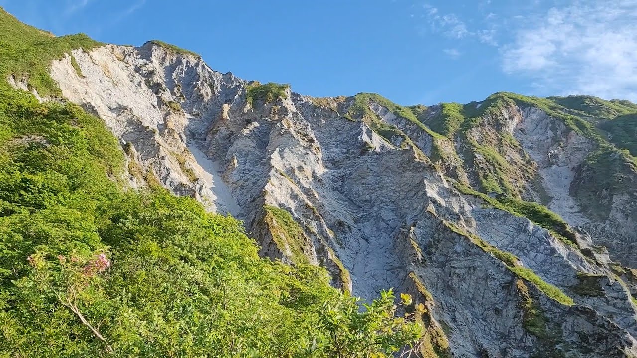 What is a subalpine zone? - YouTube