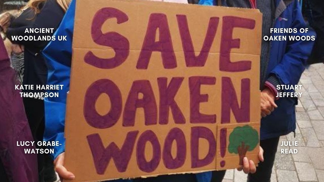 Saving Oaken Wood - Ancient Woodlands UK - YouTube