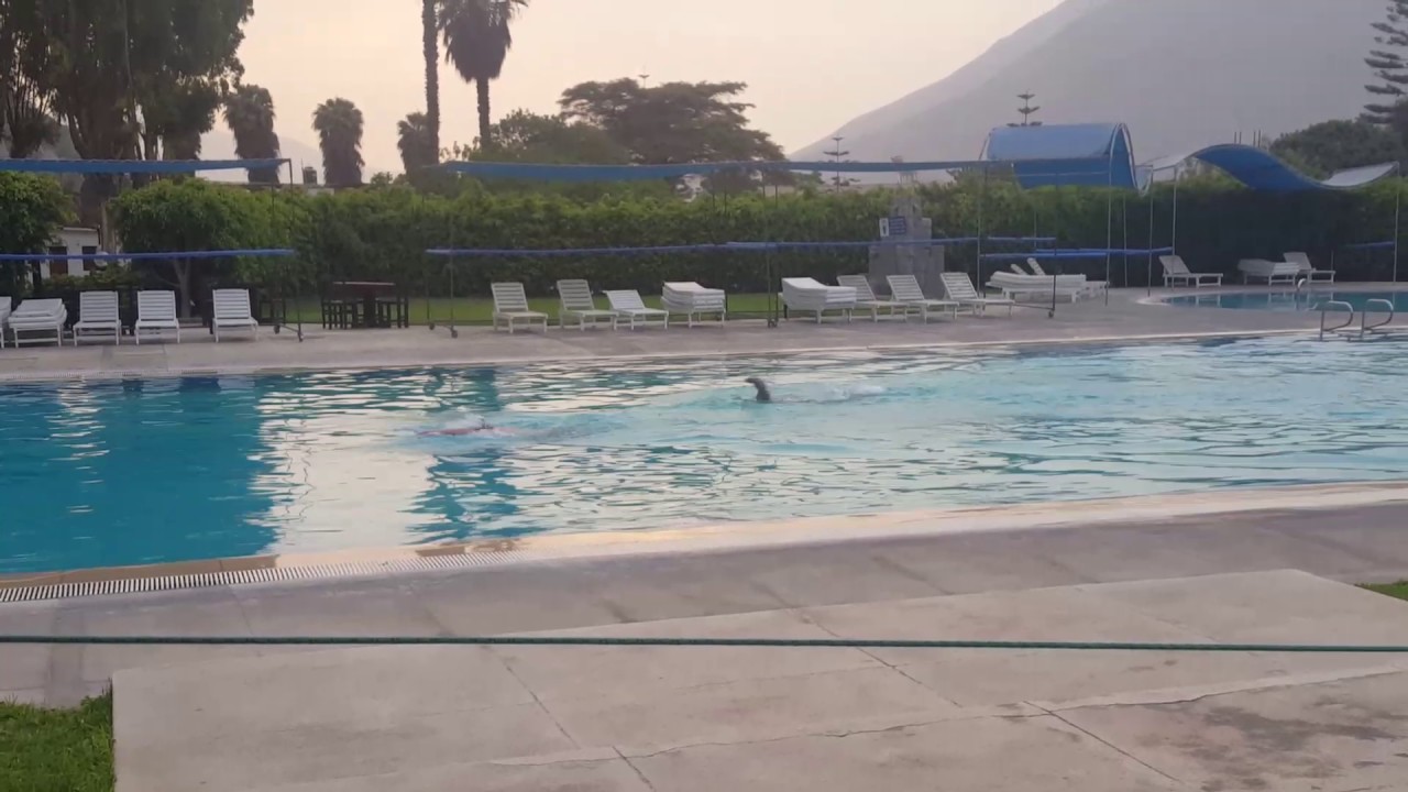 club remanso chosica(2) - YouTube