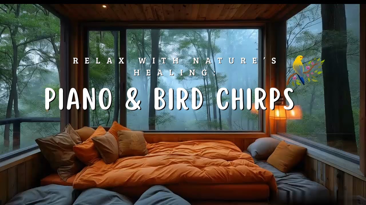 Nature's Healing: Piano Music and Bird Chirps for Your Meditation ...