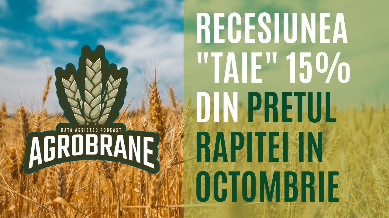 Recesiunea "taie" 15% din pretul rapitei in Octombrie - YouTube