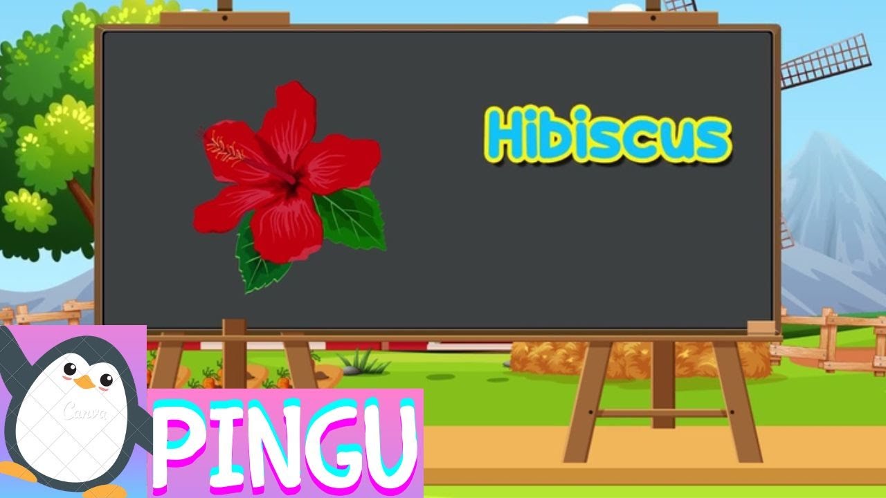 The most beautiful flowers - Learning videos | Grow every day with ...