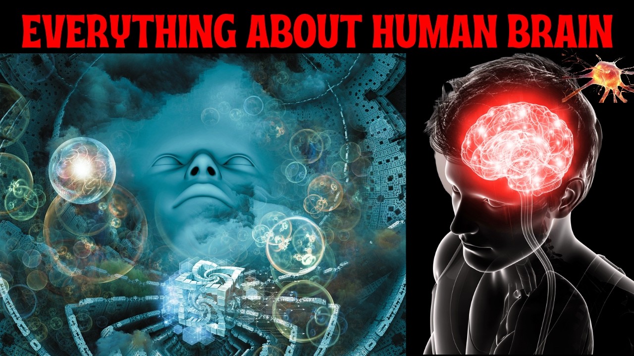 Unlocking the Cosmic Secrets of the Human Brain - A Mind-Blowing ...