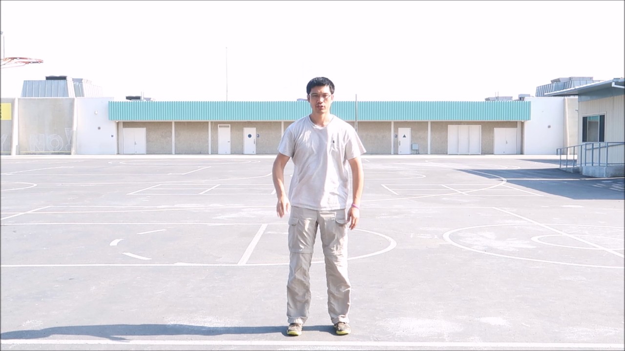 Cheng man ching tai chi -chi developement (鄭曼青太極37式-站樁) - YouTube