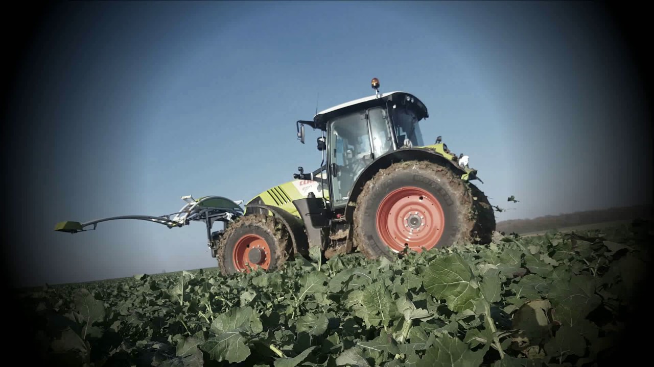 Claas : Crop Sensor .....! - YouTube