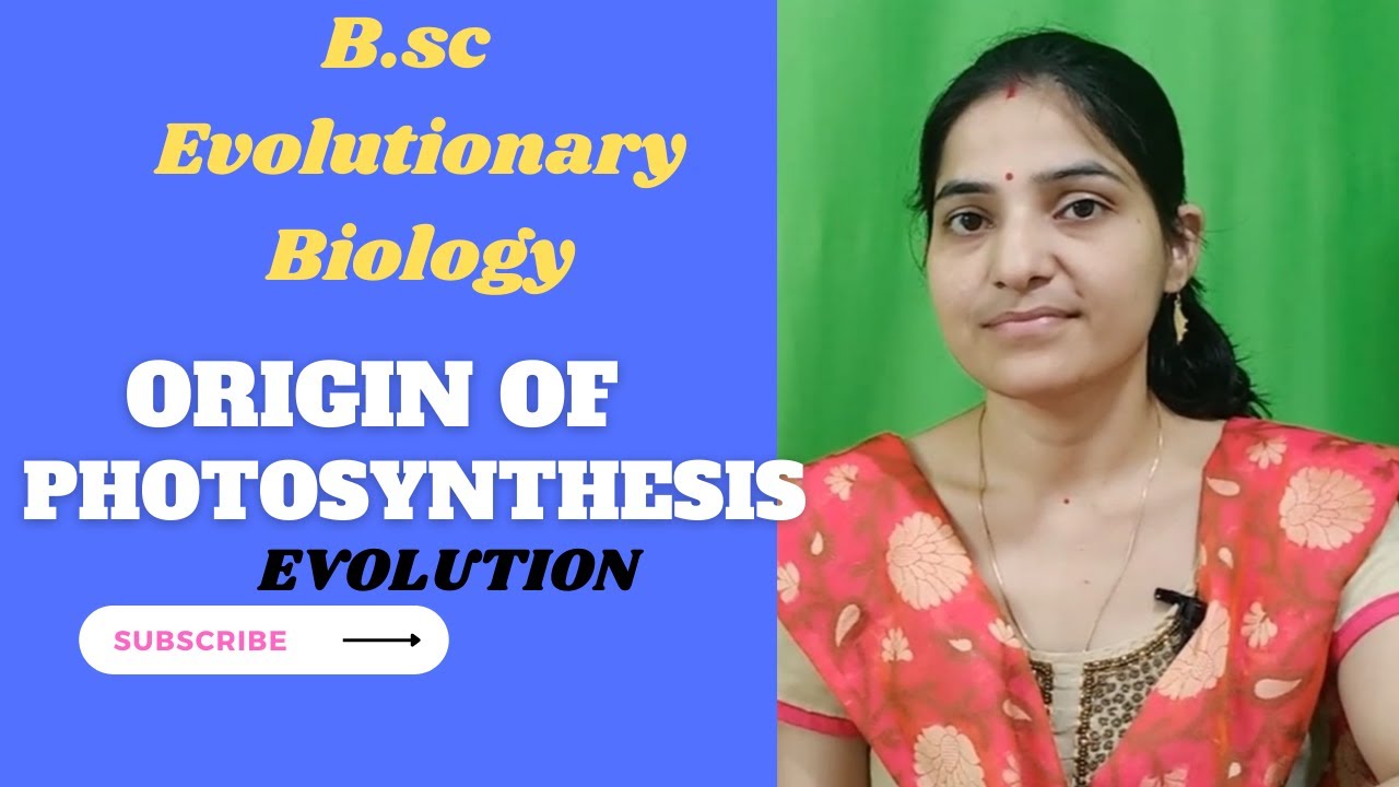 Origin of photosynthesis evolution||photosynthesis evolution ...