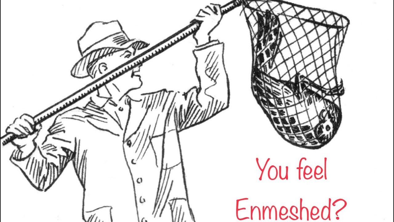 Enmesh???… Are you part of an Enmeshed Family? - YouTube