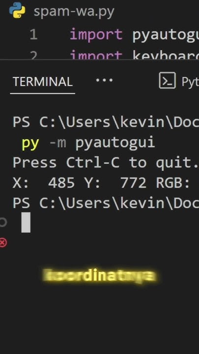 Bikin bot python dalam 60 detik #coding #programming #tutorial #python ...