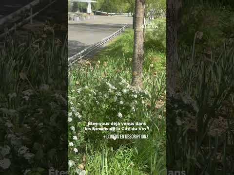 Les Jardins de la Cité du Vin