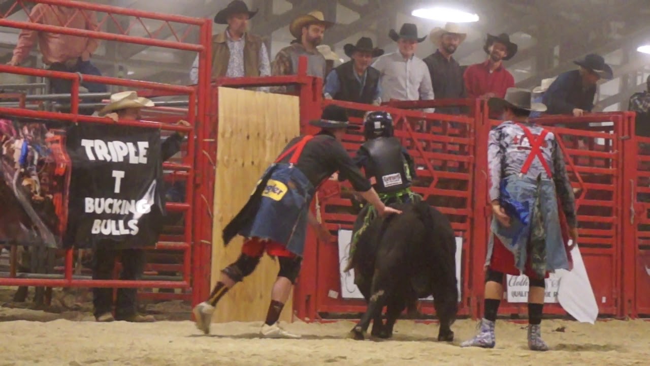 Bull Riding- Winter Series February 1st, 2020 - YouTube