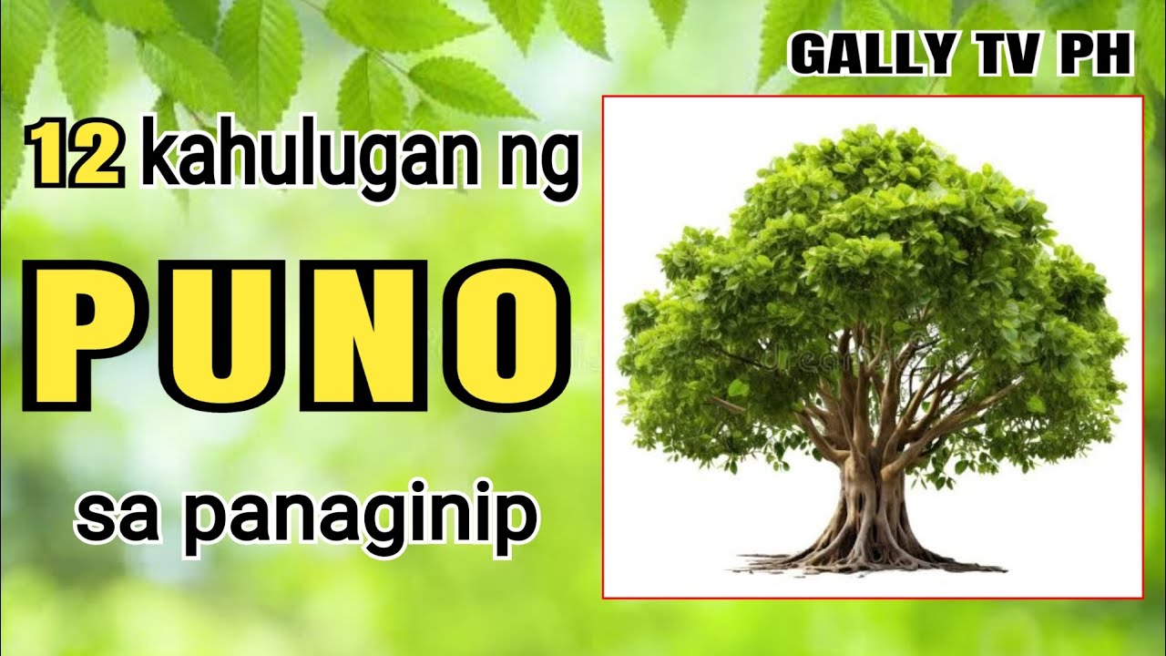 12 kahulugan ng PUNO sa panaginip #punosapanaginip # ...