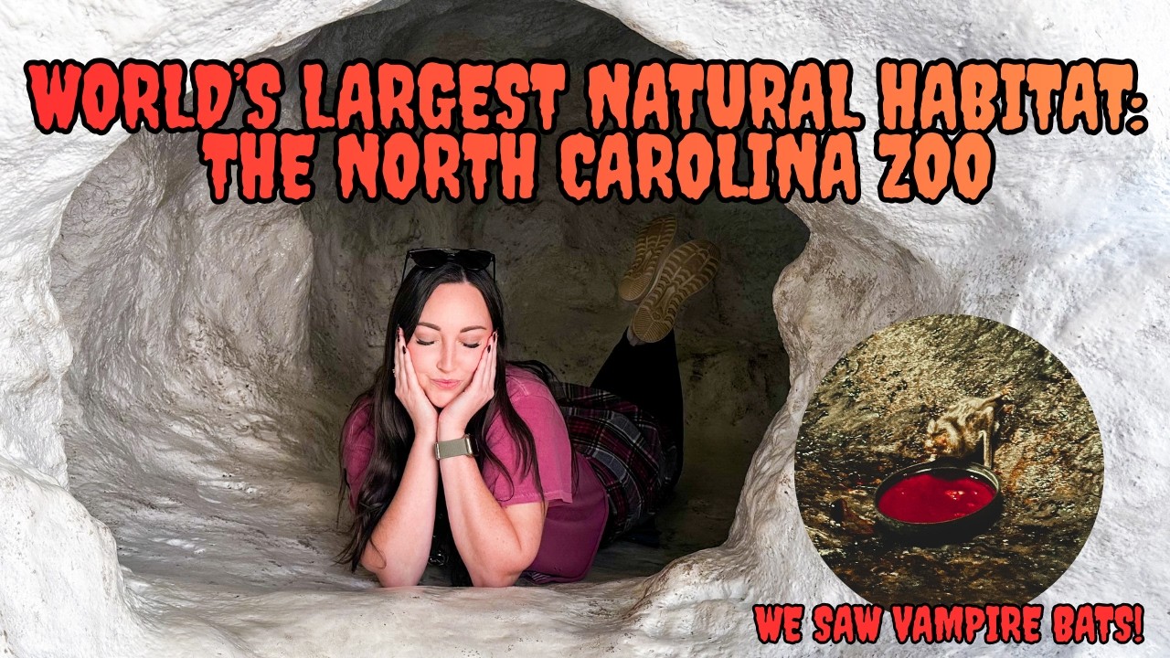 Visiting the Vampire Bats at the North Carolina Zoo 🦇 Day In My Life ...