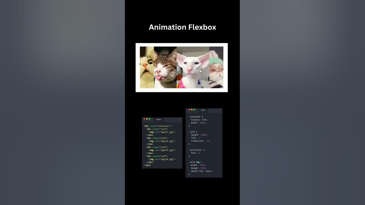 Amazing Flex Box Animation 🔥 Css Animation Using Webdevelopment Coding Reactfrontend Frontend 4738