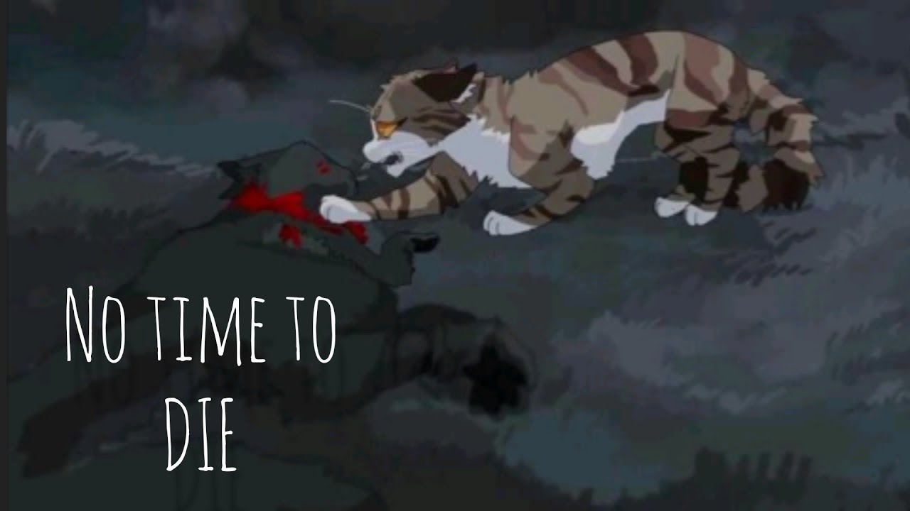Warrior Cats Cinderpelts Death