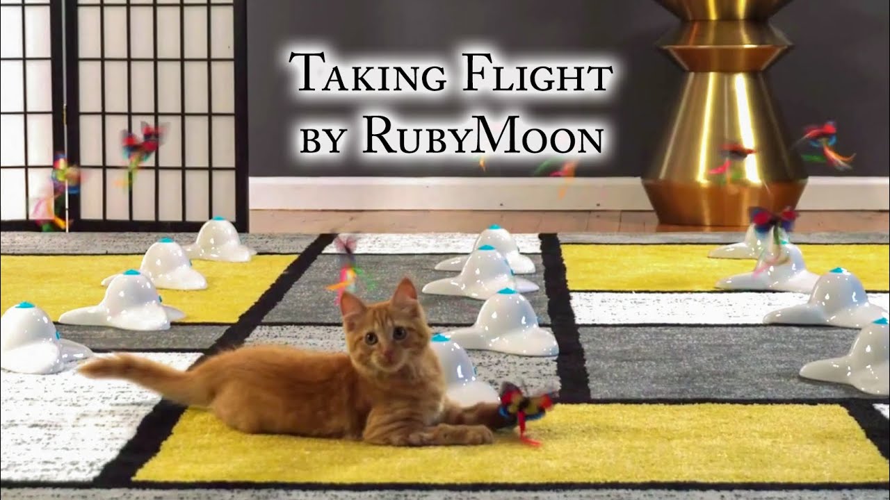 "Taking Flight" starring Bessie, by RubyMoon - YouTube