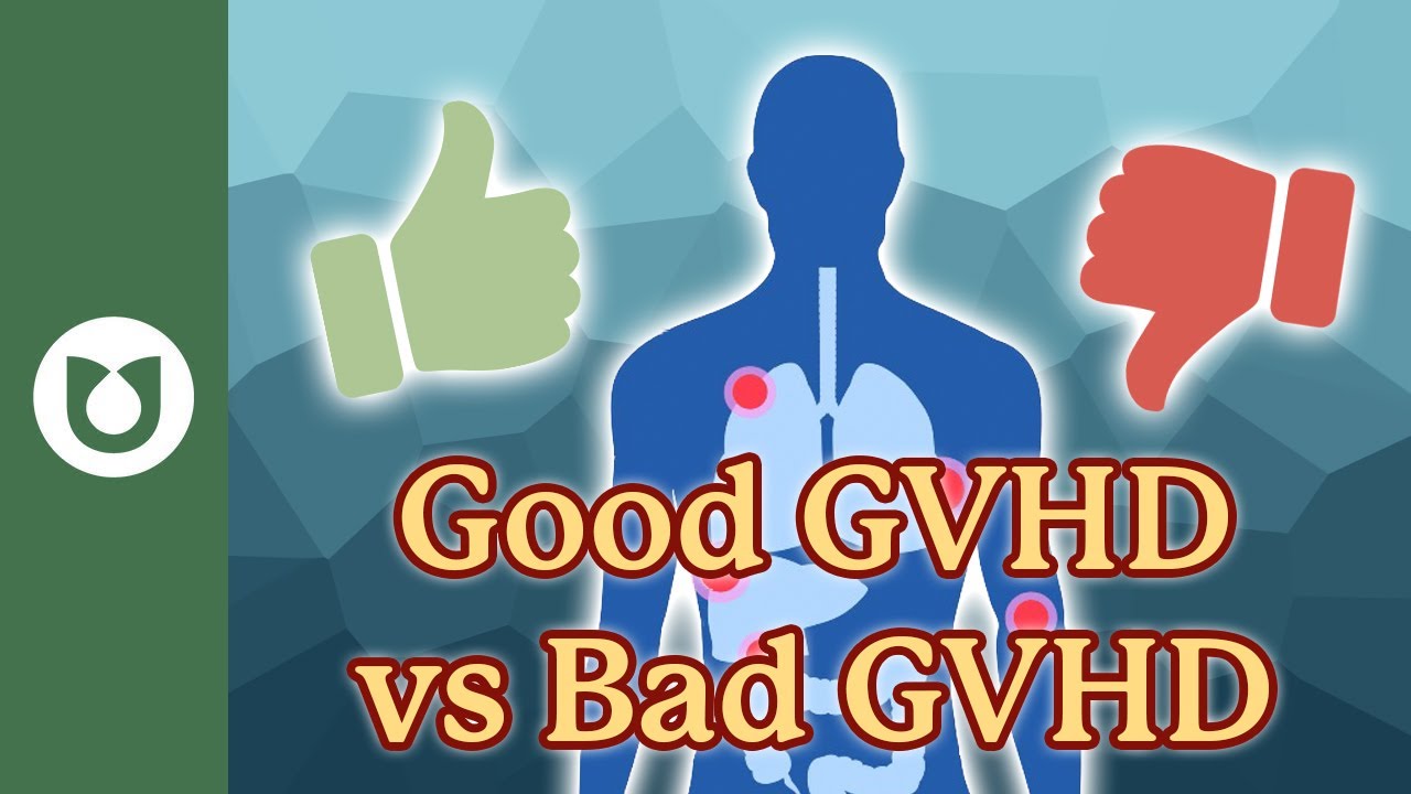 Good GVHD vs Bad GVHD: Hope or Harm in Myeloma? - YouTube