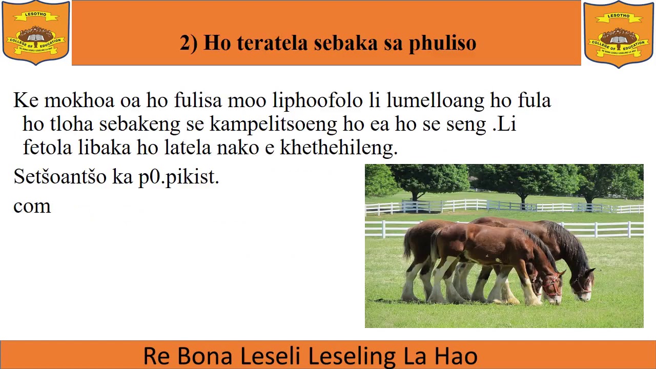 Tlhokomelo ea lekhulo: Mekhoa, mefuta ea ho fulisale melemo ea ho ...