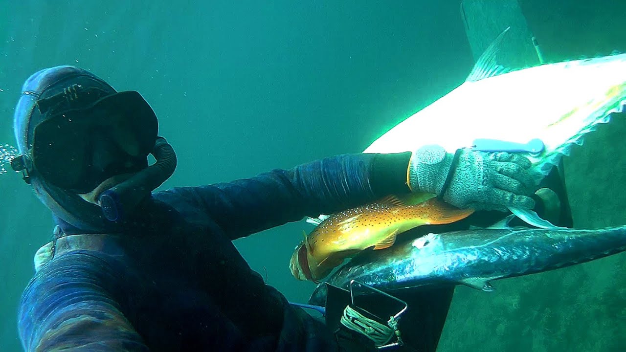 HUGE QUEENFISH - YouTube