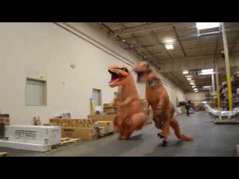 T-REX Dinosaurs RACE to the finish - YouTube
