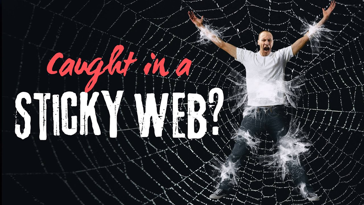 Caught in a sticky web? - YouTube